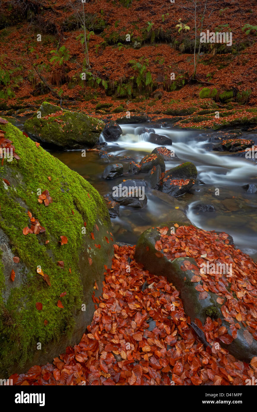 Moness burn aberfeldy hi-res stock photography and images - Alamy