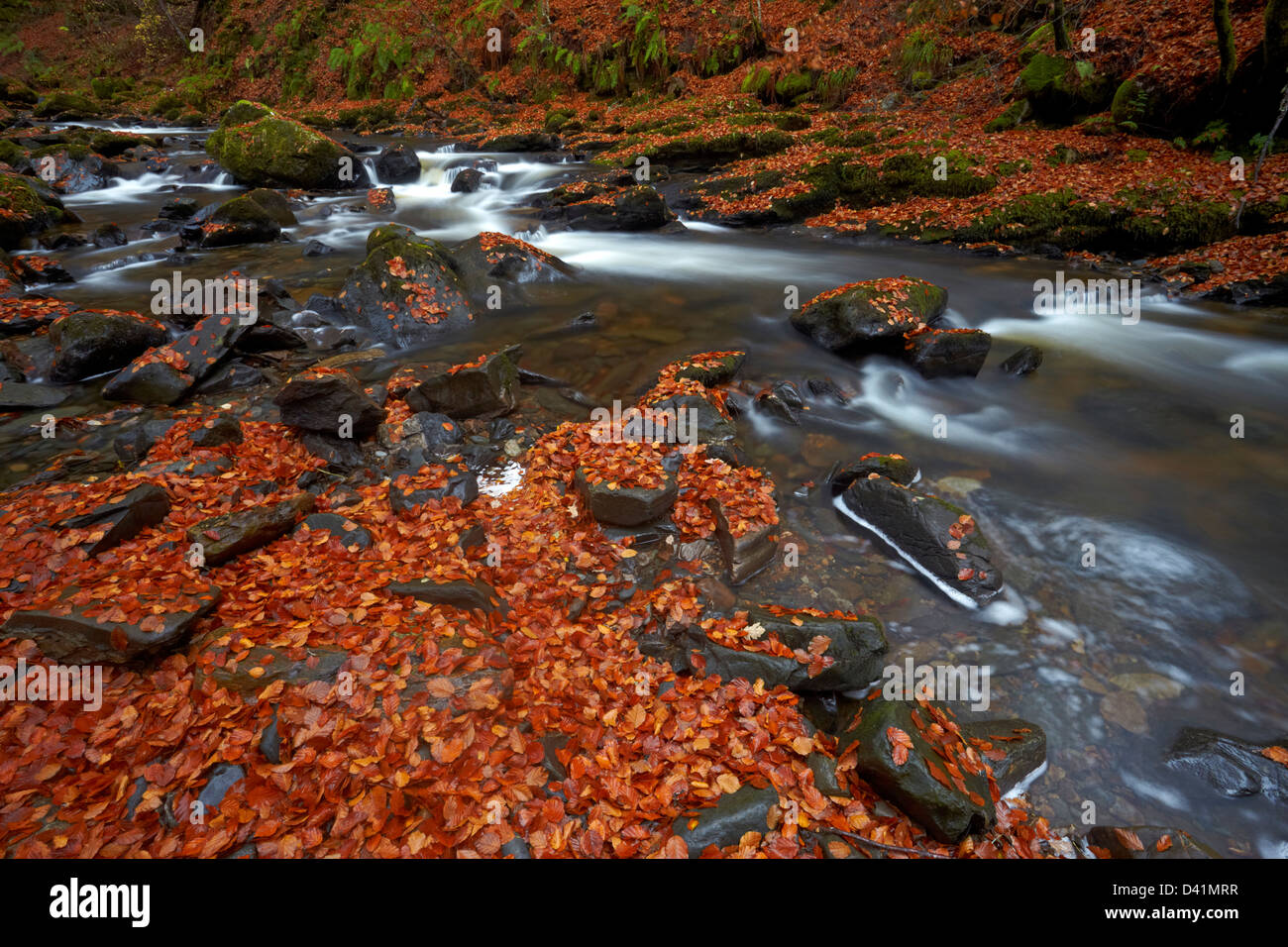 Moness burn aberfeldy hi-res stock photography and images - Alamy