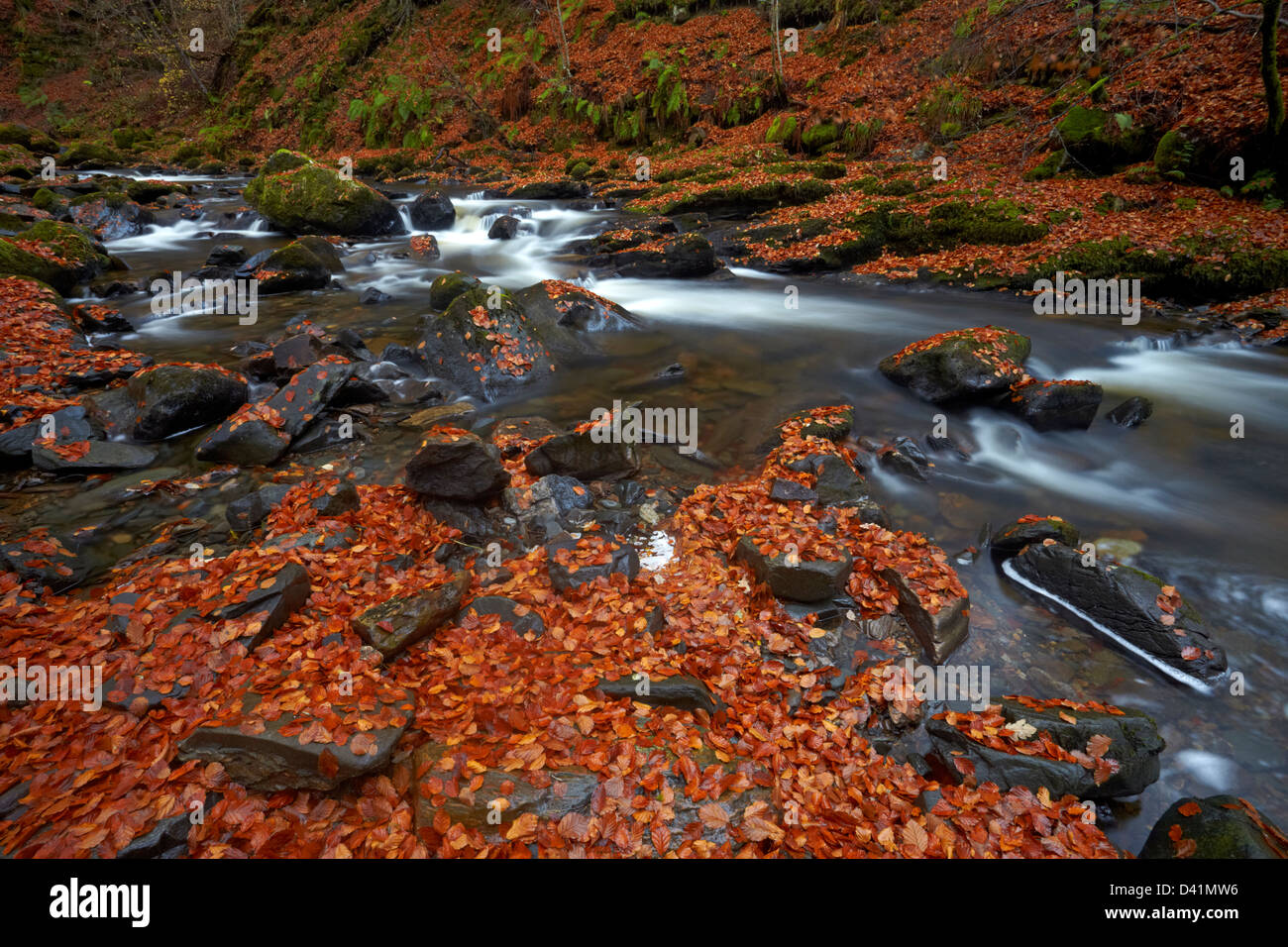 Moness burn aberfeldy hi-res stock photography and images - Alamy