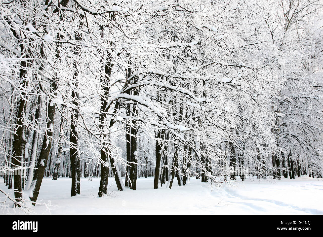 Beautiful Russian Winter Stock Photo - Alamy