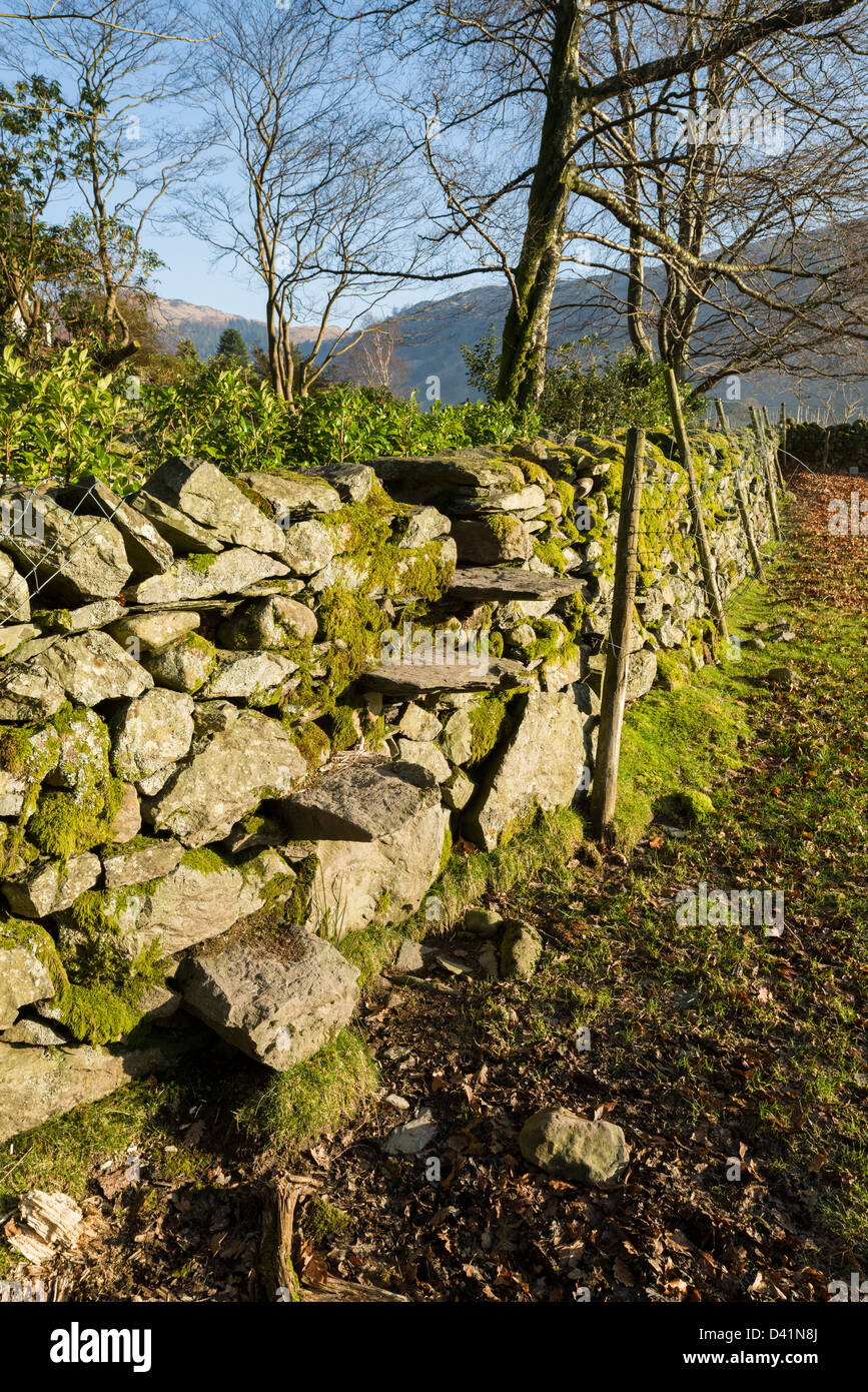stone steps over dry stone wall Borrowdale, Cumbria, Lake District ...