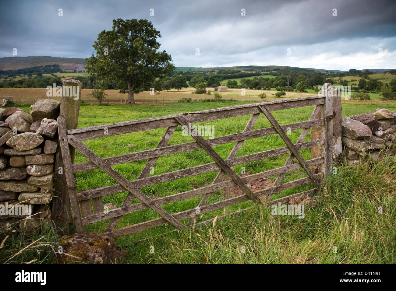 Rustic gate in drystone wall in Cumbria, England, UK Stock Photo - Alamy