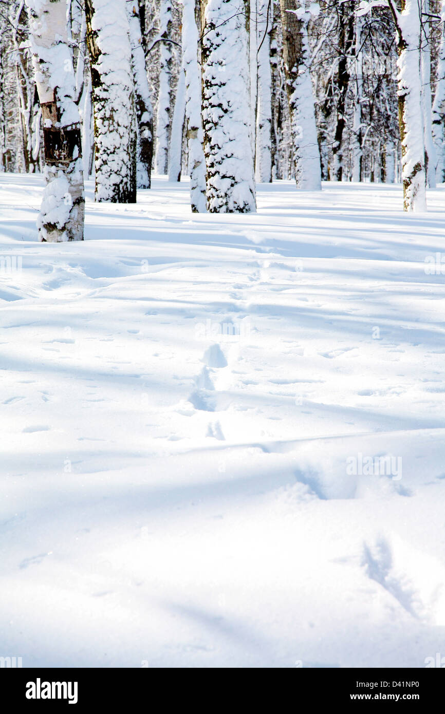 Colorful footprint hi-res stock photography and images - Alamy