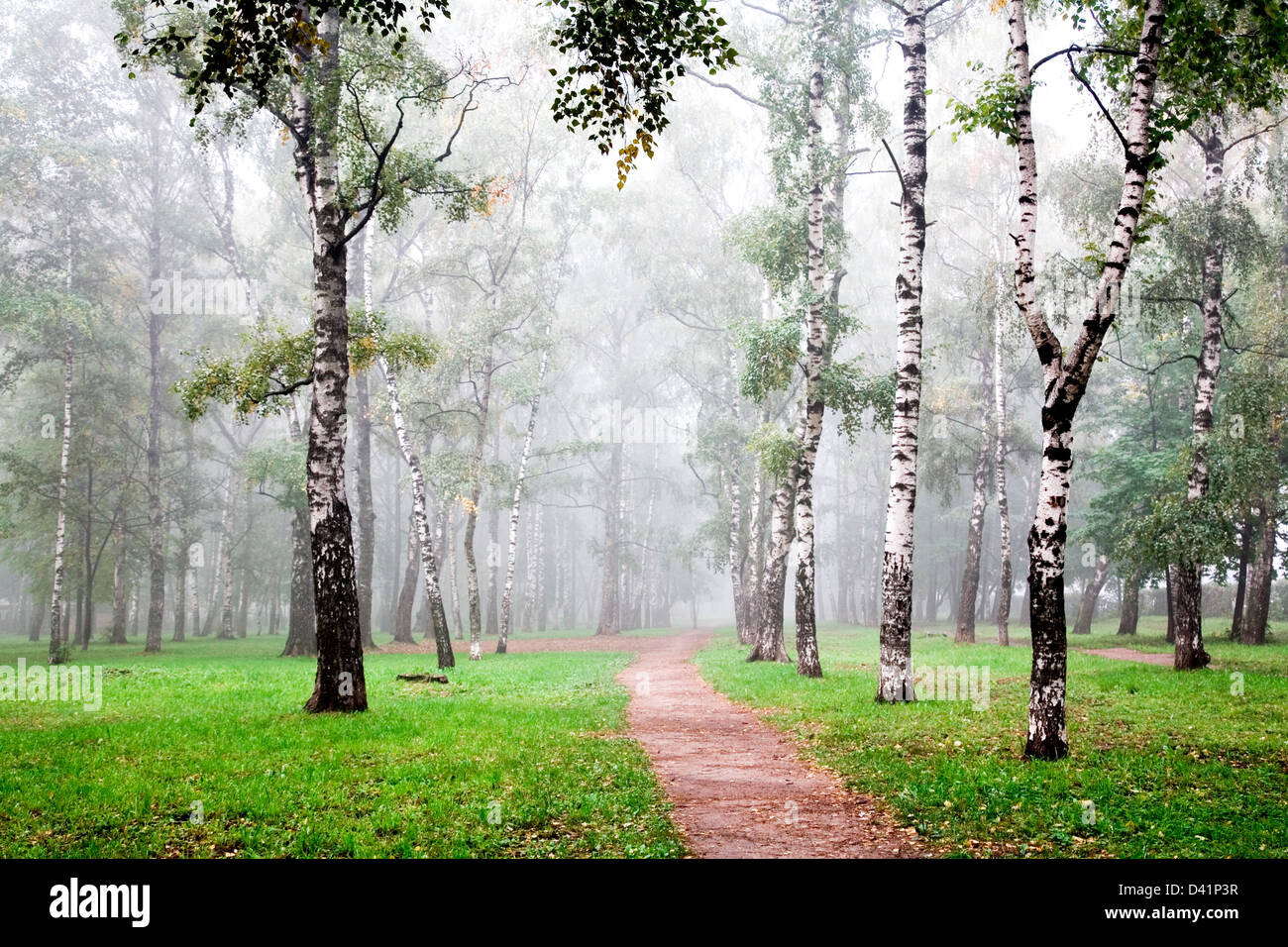 Mystical grove hi-res stock photography and images - Alamy