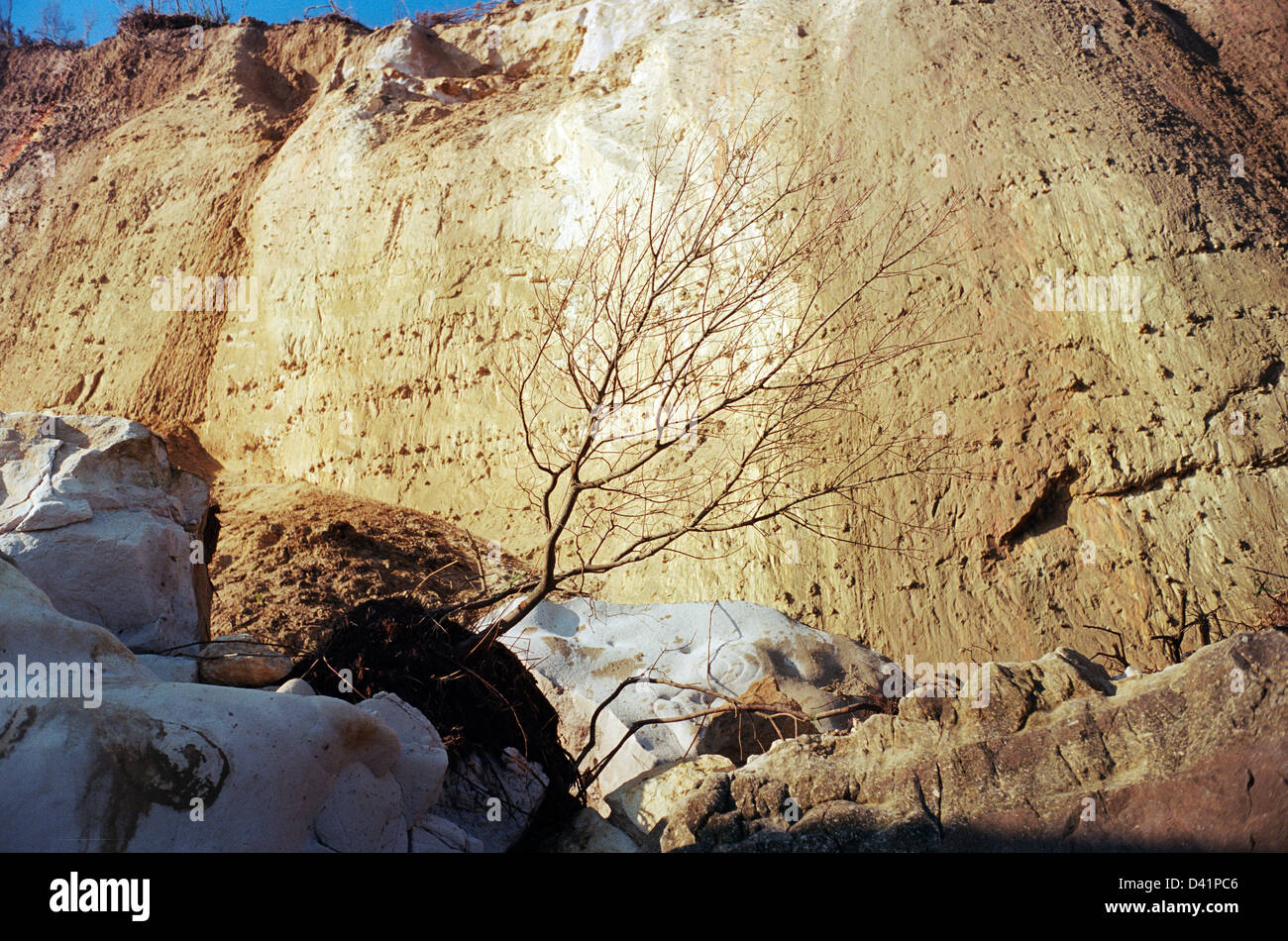 Cliffs and rockfall, Normandy, France Stock Photo - Alamy