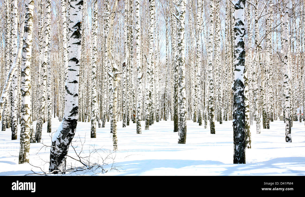 Panoramic view black forest hi-res stock photography and images - Alamy
