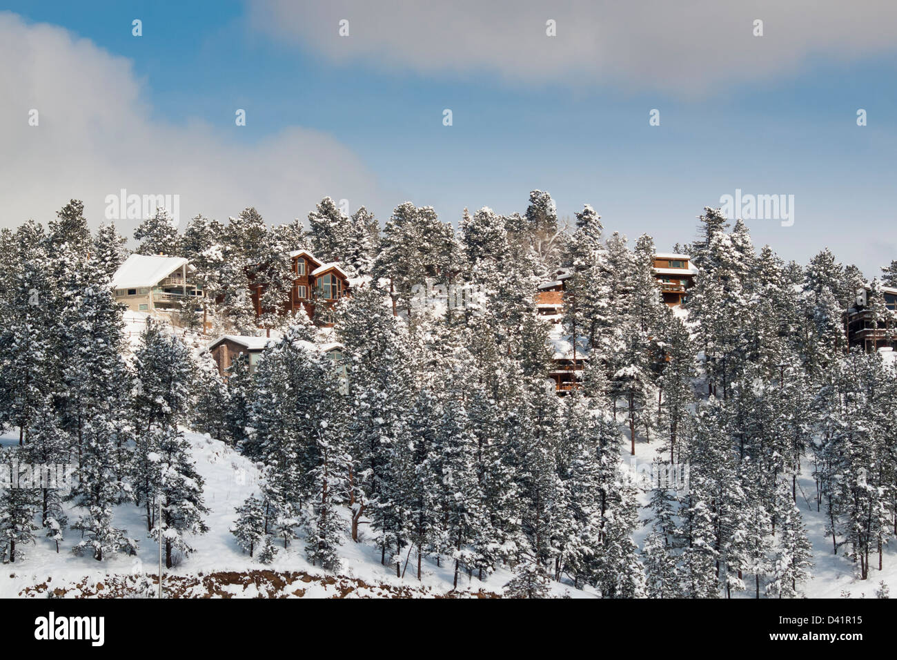 Winter forest near Evergreen, Colorado Stock Photo - Alamy