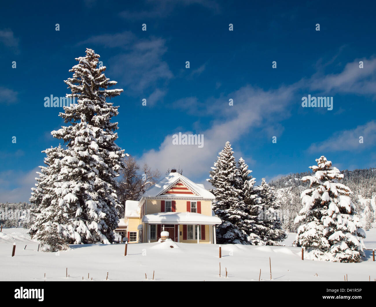 Yellow house after snow storm in Evergreen, Colorado Stock Photo - Alamy