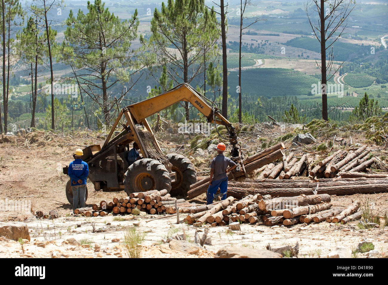 Forestry workers africa hi-res stock photography and images - Alamy