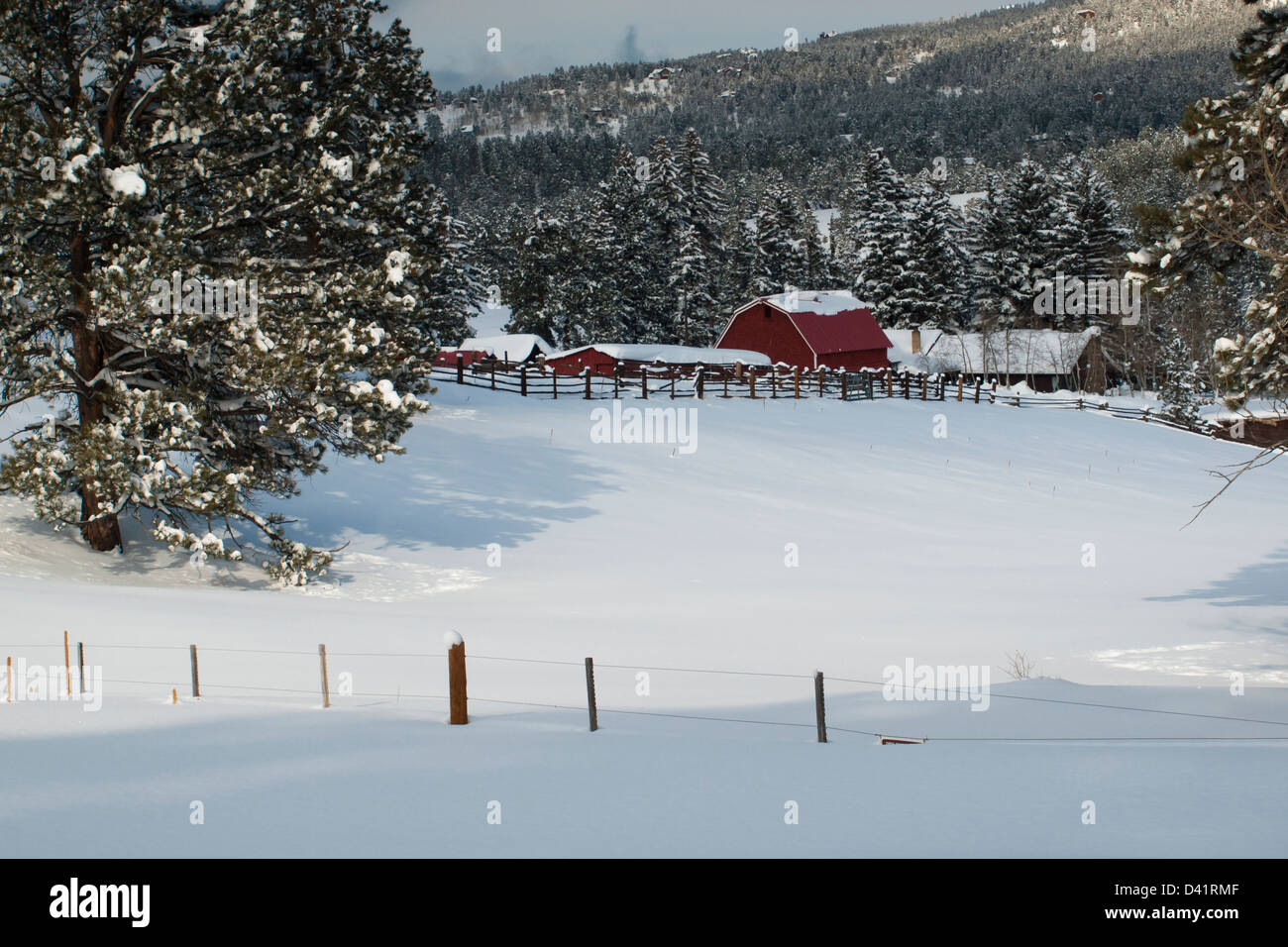 Old red barn after snow storm in Evergreen, Colorado Stock Photo - Alamy