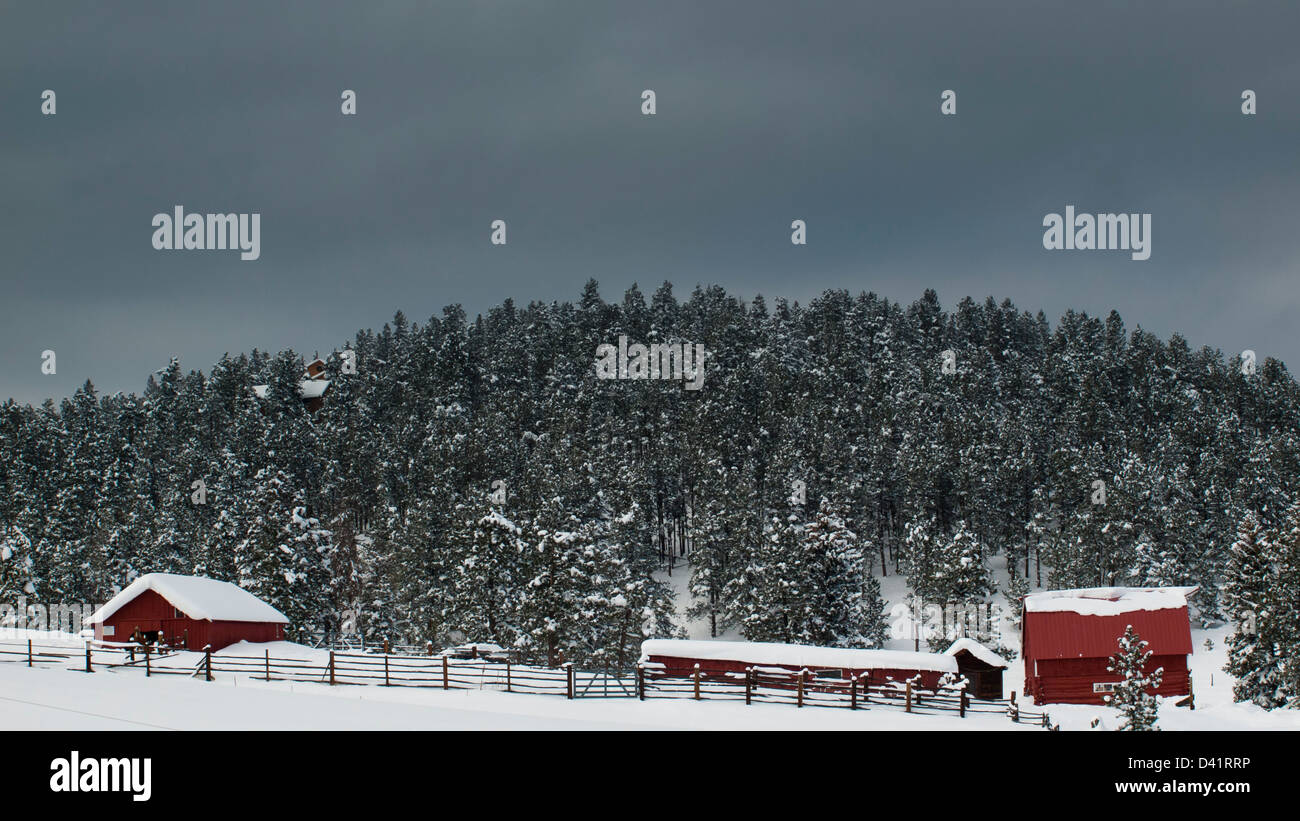 Old red barn after snow storm in Evergreen, Colorado Stock Photo - Alamy