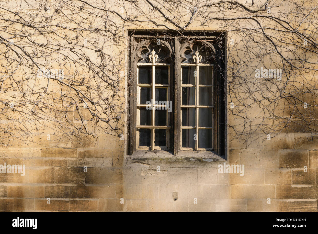 Ornate window of Oxford college Oxford England UK Stock Photo - Alamy