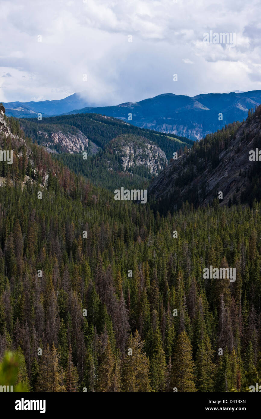 From the bear tooth pass hi-res stock photography and images - Alamy