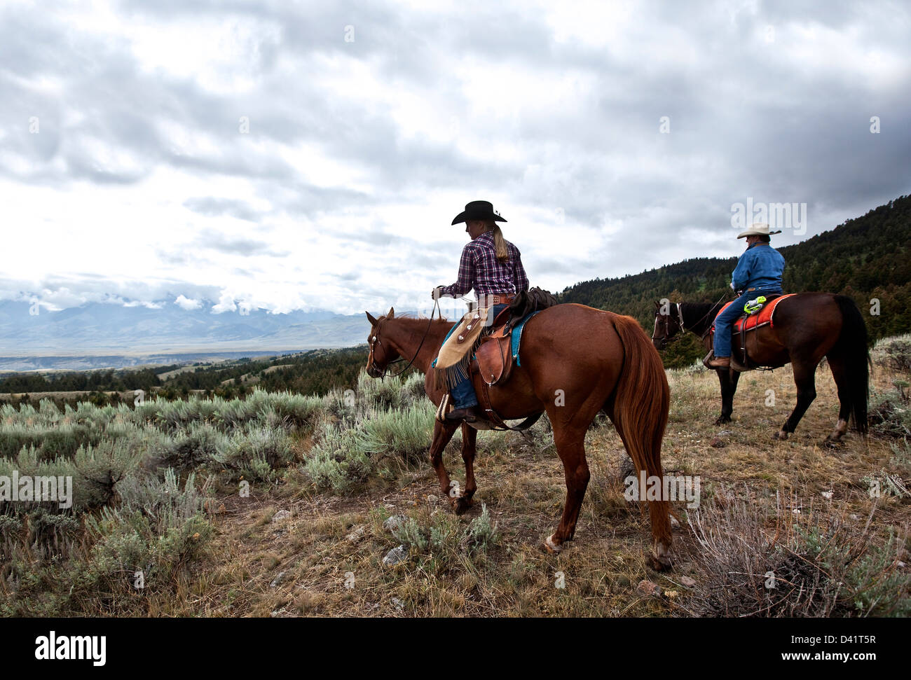 Rancher montana usa hi-res stock photography and images - Alamy