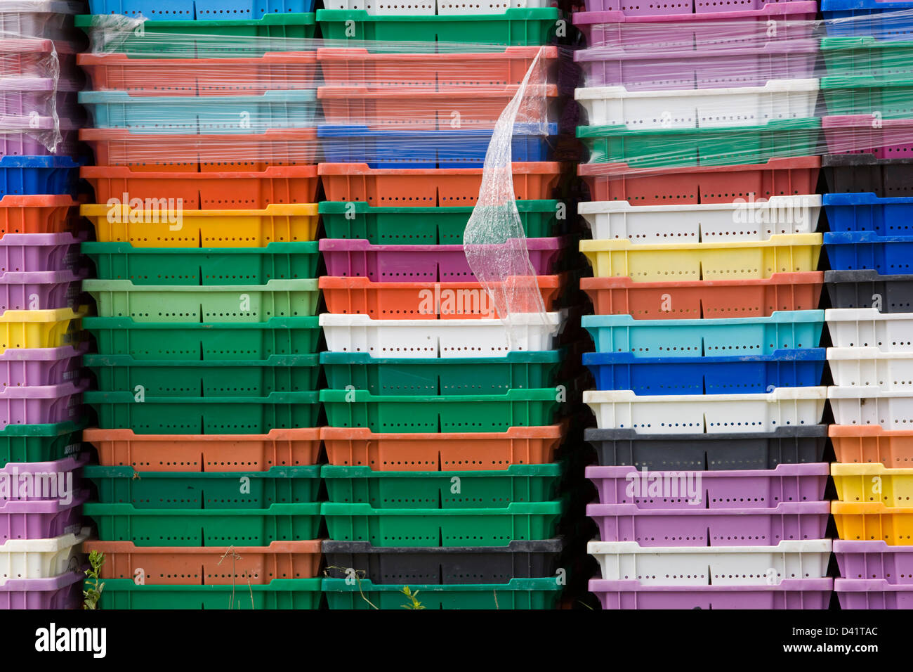 Stacks of plastic fish crates, Nova Scotia, Canada Stock Photo - Alamy