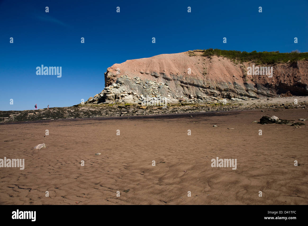 The beach and cliffs at the Joggins fossil cliffs, Nova Scotia, Canada ...