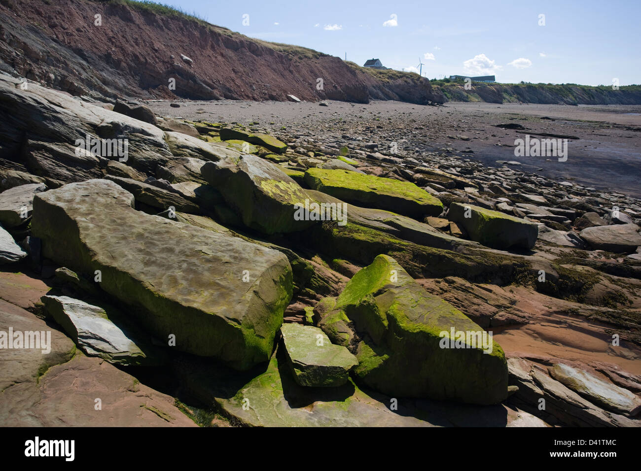 The beach and cliffs at the Joggins fossil cliffs, Nova Scotia, Canada ...