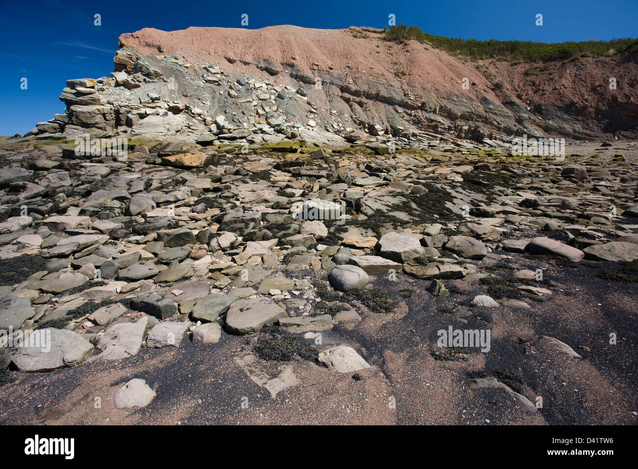 The beach and cliffs at the Joggins fossil cliffs, Nova Scotia, Canada ...