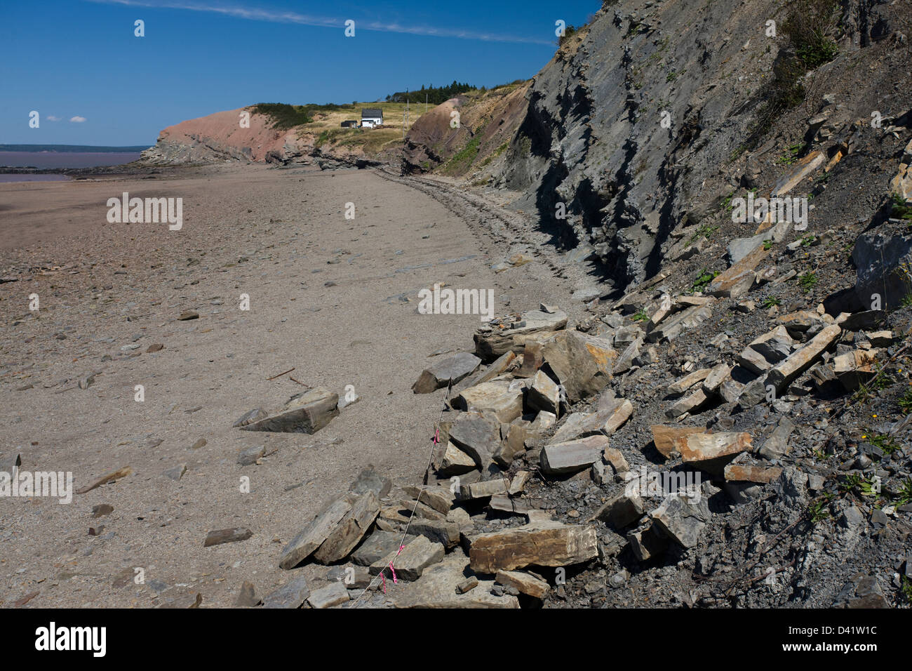 The beach and cliffs at the Joggins fossil cliffs, Nova Scotia, Canada ...