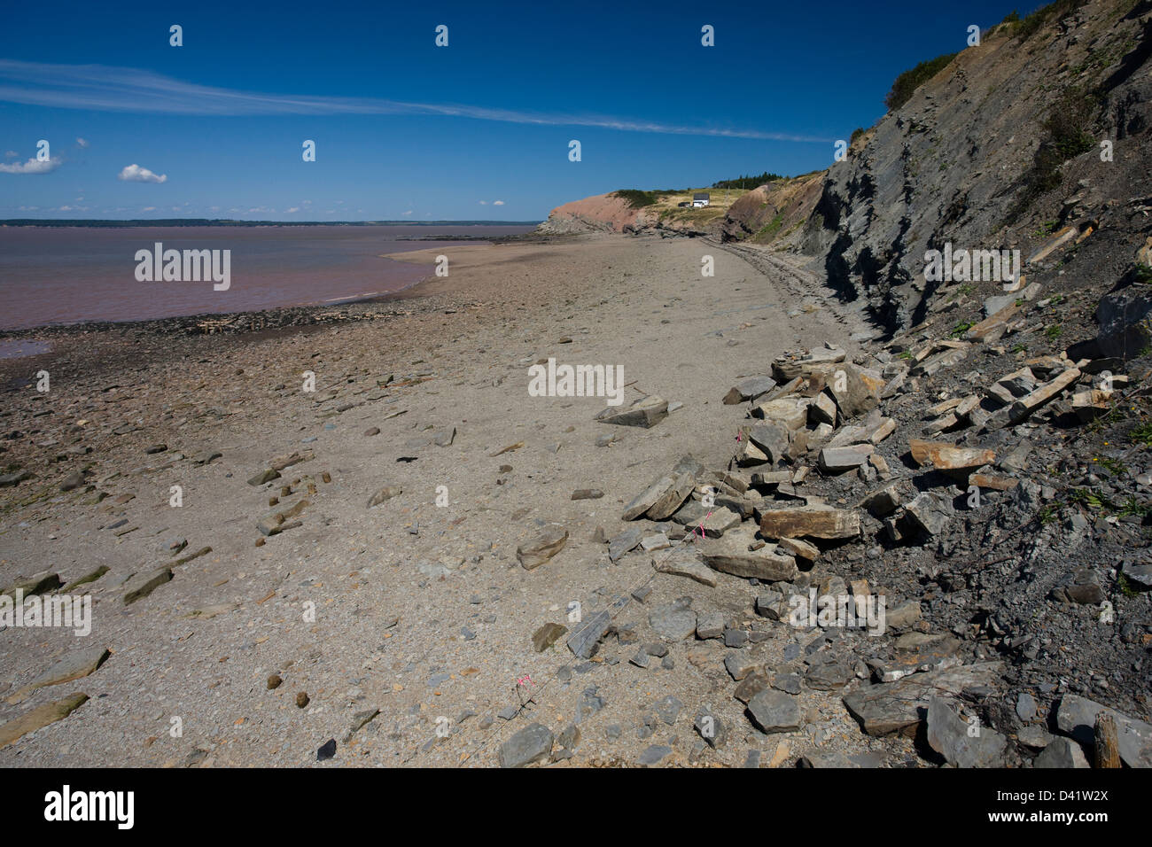 The beach and cliffs at the Joggins fossil cliffs, Nova Scotia, Canada ...