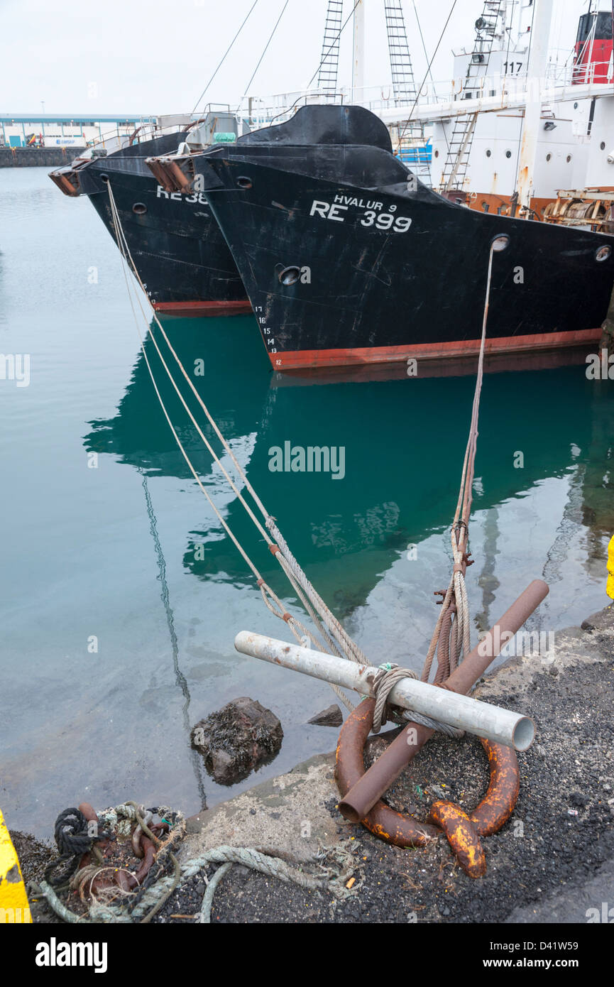 Overfishing iceland hi-res stock photography and images - Alamy