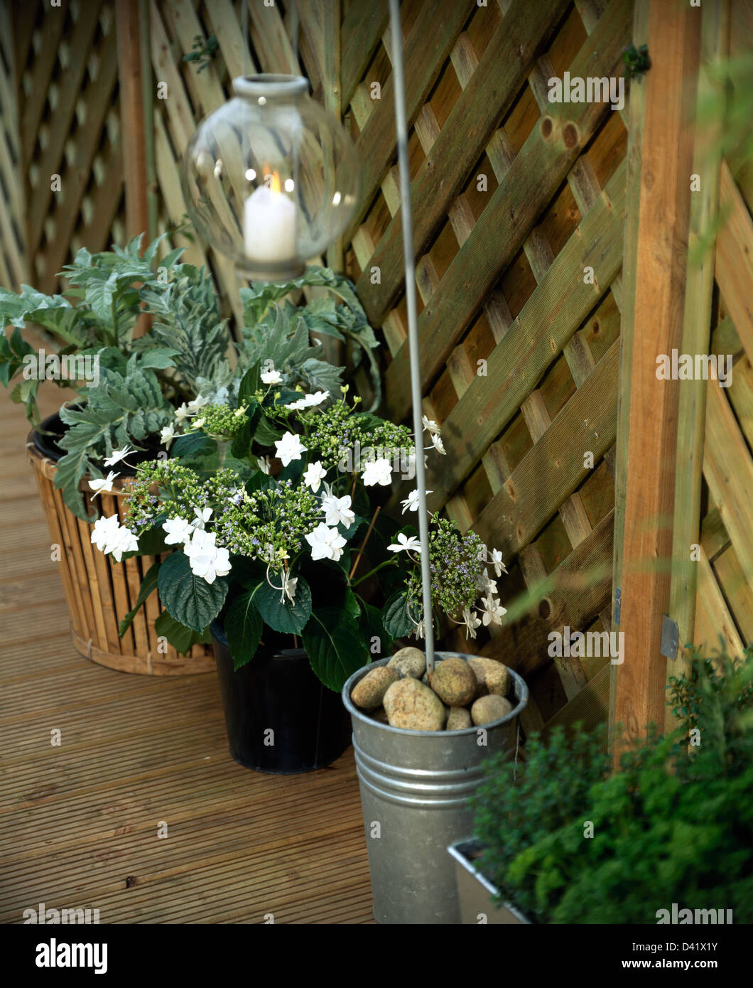 Trellis fence hi-res stock photography and images - Alamy