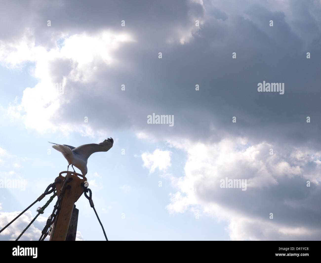Top of the mast Stock Photo - Alamy