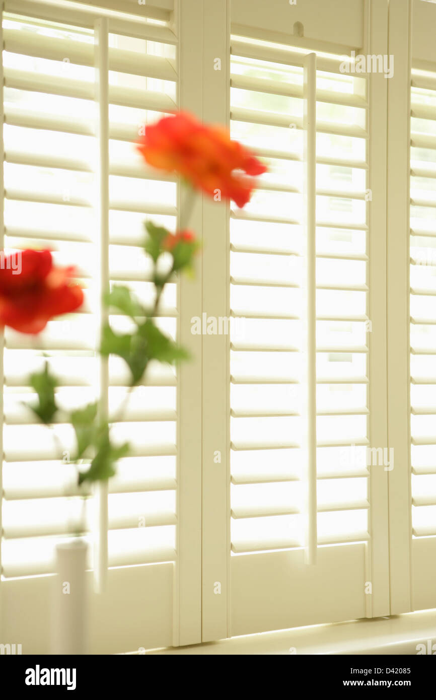 Close up plantation shutters hi-res stock photography and images - Alamy