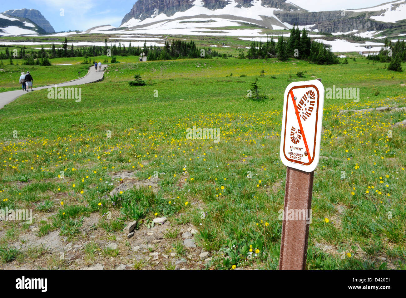 Logan Pass Glacier National Park Montana MT US Stock Photo - Alamy