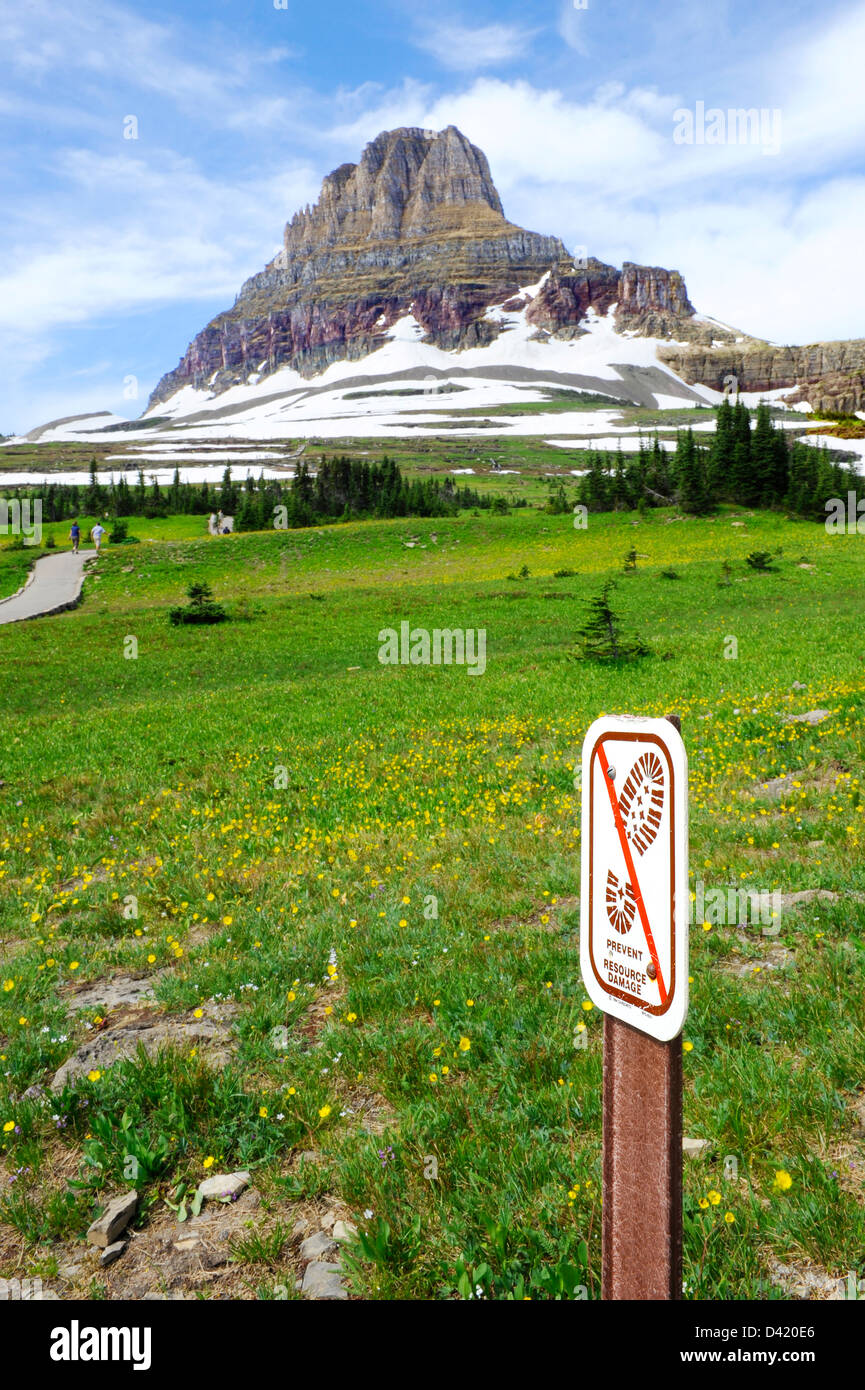 Logan Pass Glacier National Park Montana MT US Stock Photo - Alamy