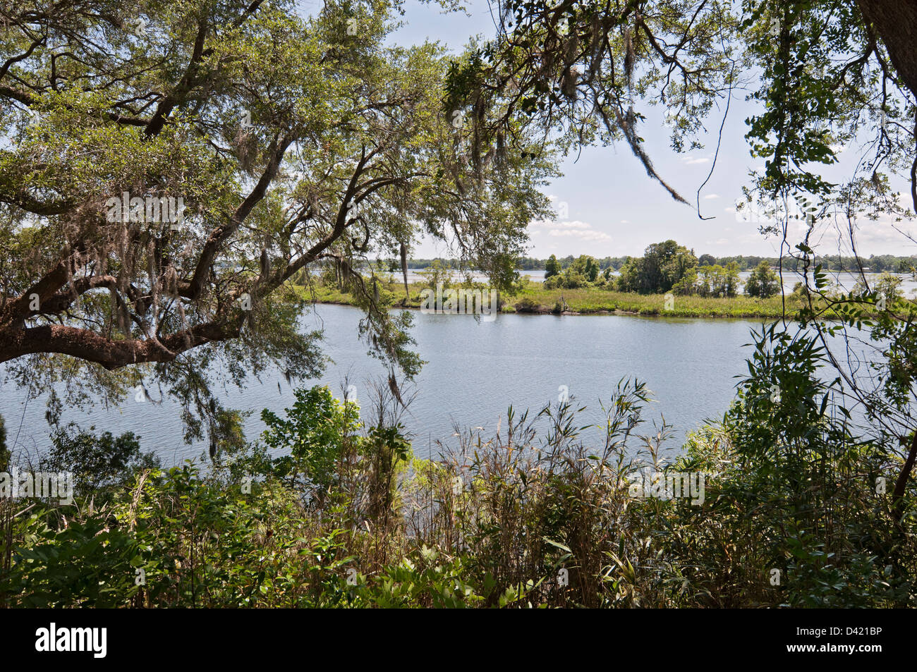 Cooper river hi-res stock photography and images - Alamy