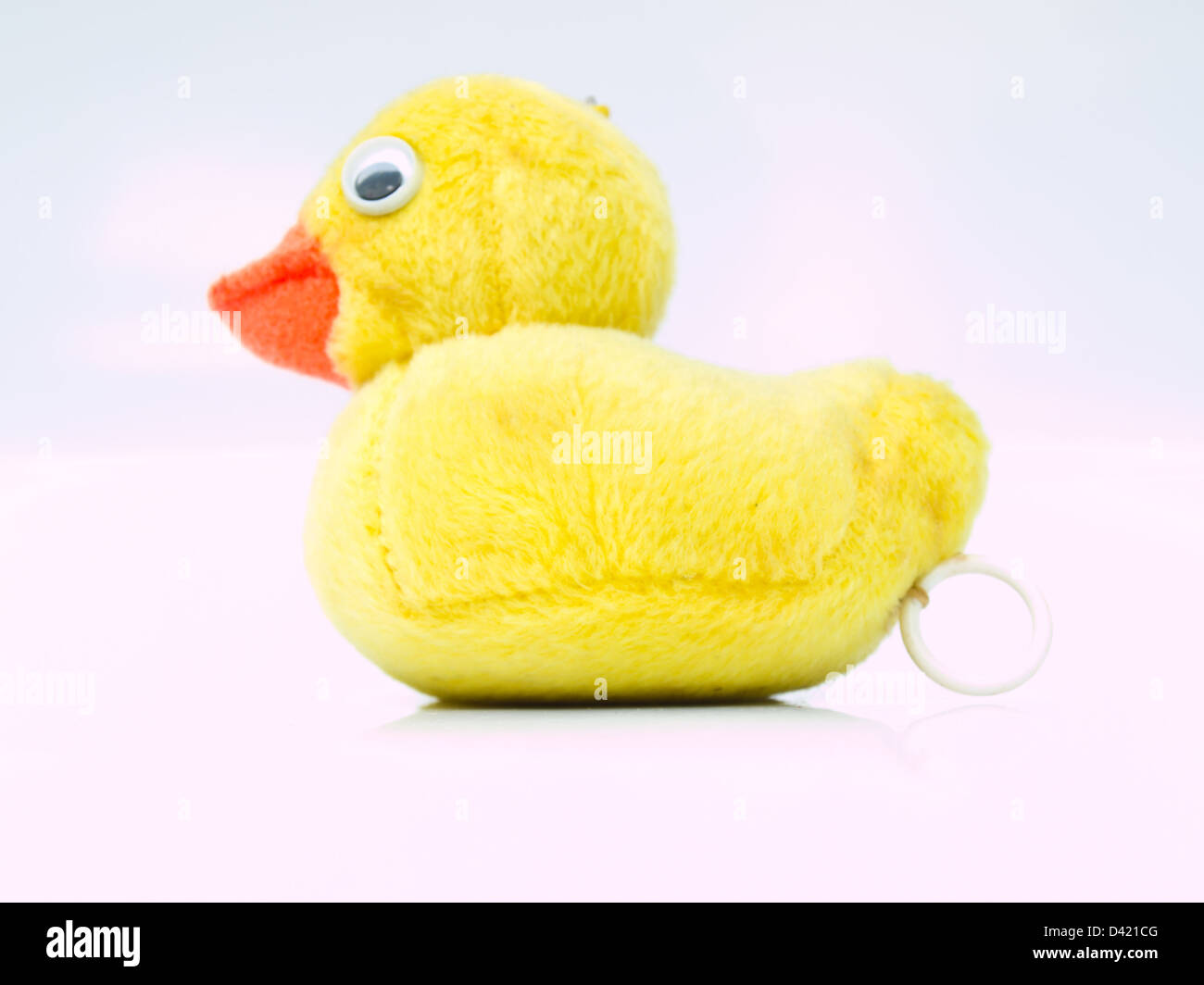A yellow fur duck isolated on white background Stock Photo - Alamy