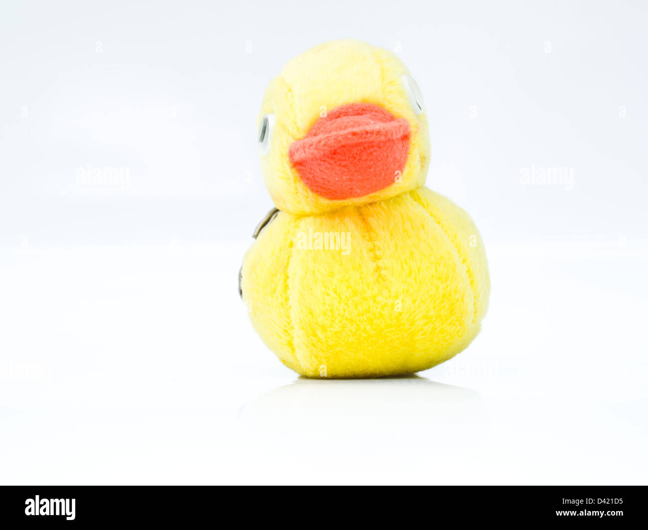 A yellow fur duck isolated on white background Stock Photo - Alamy