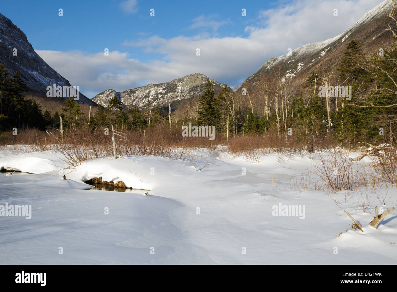 Franconia Notch State Park - Scenic view from along the Pemi Trail in ...