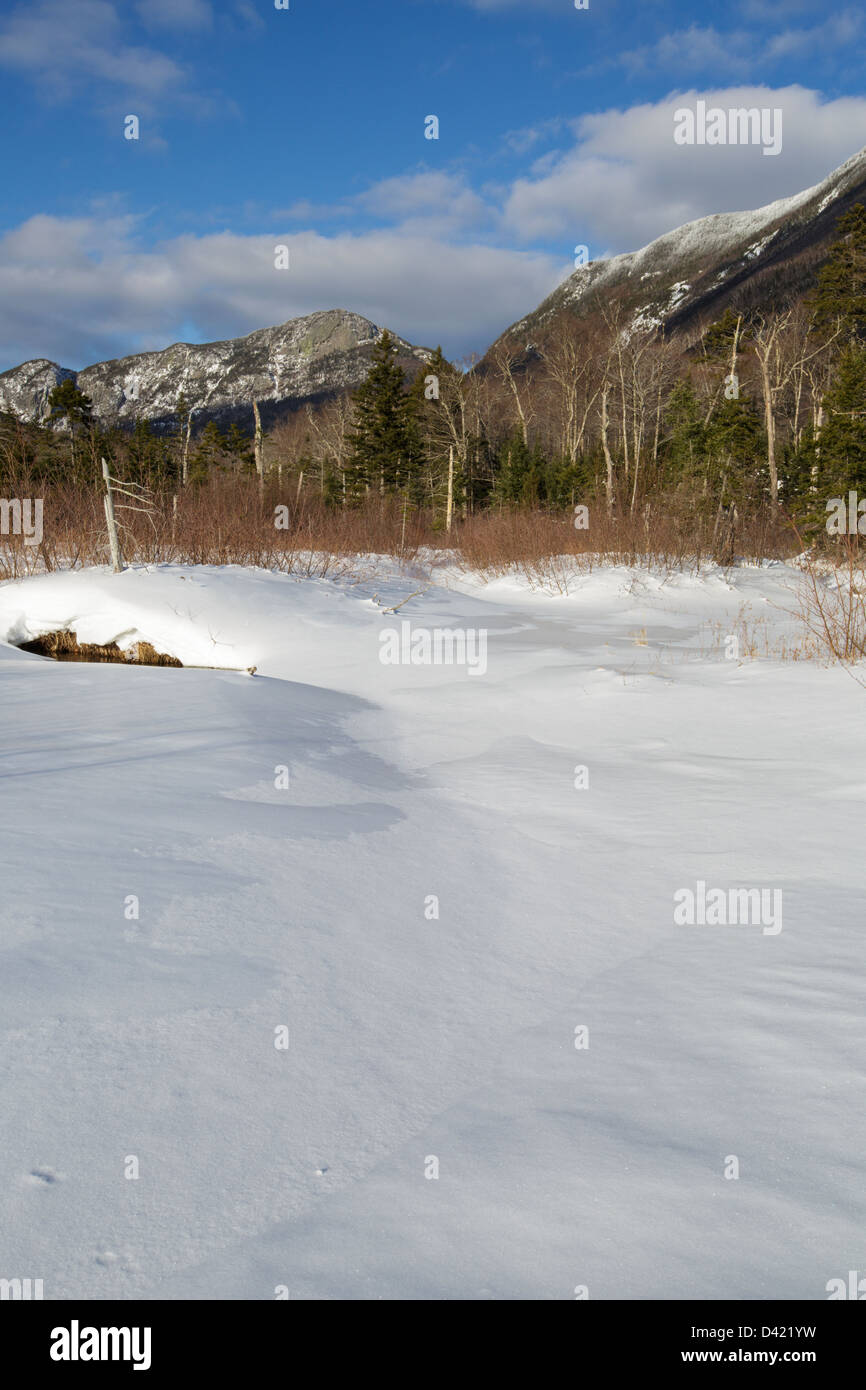 Franconia Notch State Park - Scenic view from along the Pemi Trail in ...