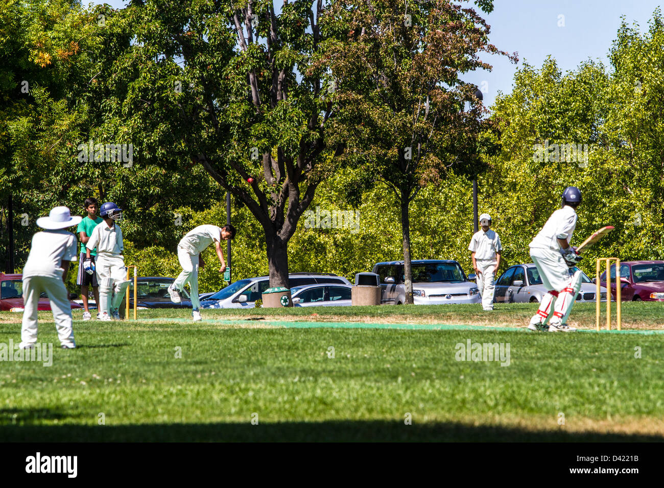 Diversity in cricket hi-res stock photography and images - Alamy