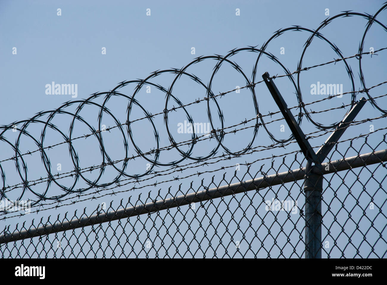 Fence with razor wire Stock Photo - Alamy