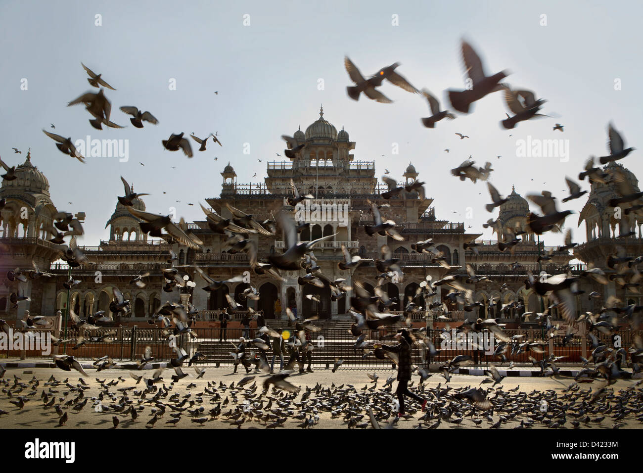 Albert Hall Museum in Jaipur, Rajasthan, India Stock Photo - Alamy