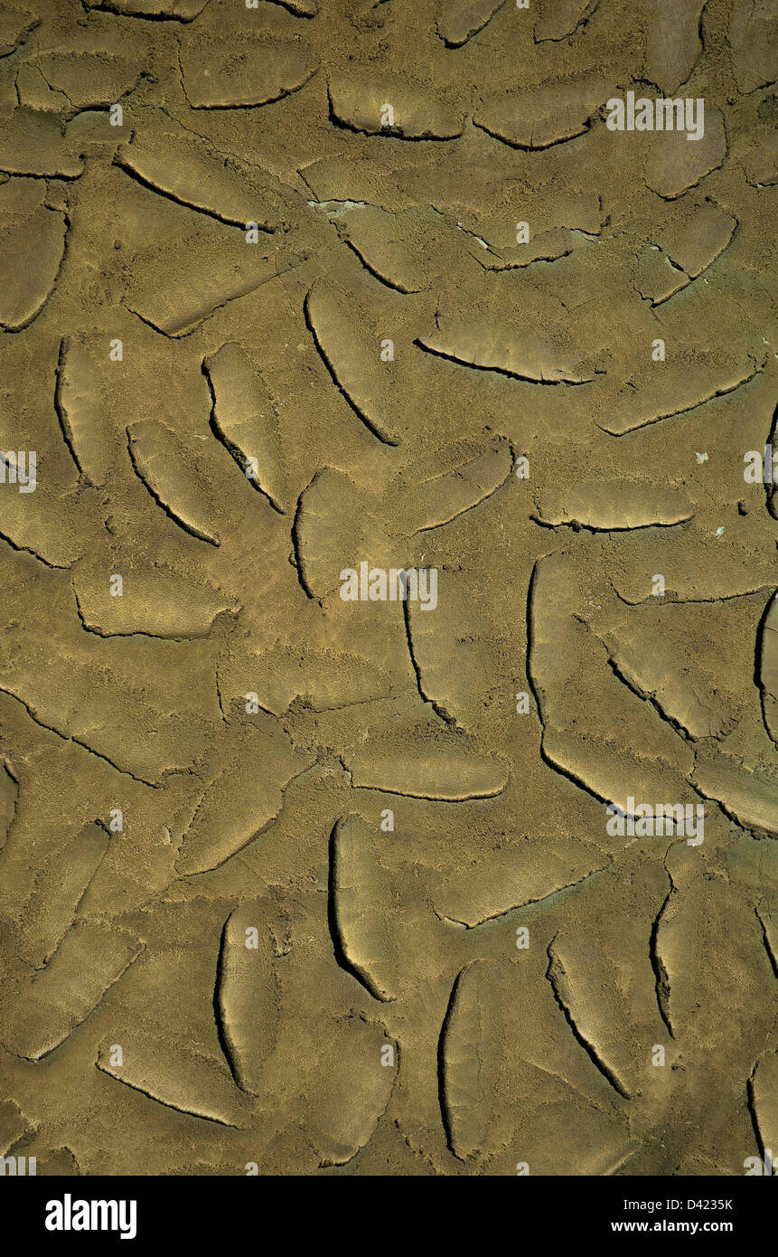 Plaster texture hi-res stock photography and images - Alamy