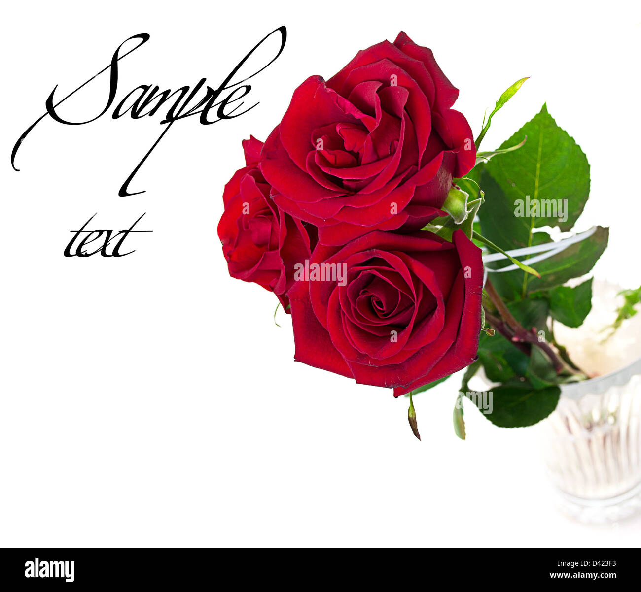 A beautiful bouquet of three red roses with sample text Stock Photo - Alamy