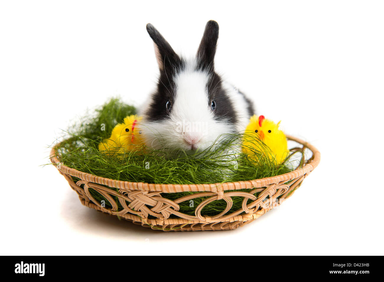 Symbol easter holiday little hi-res stock photography and images - Alamy