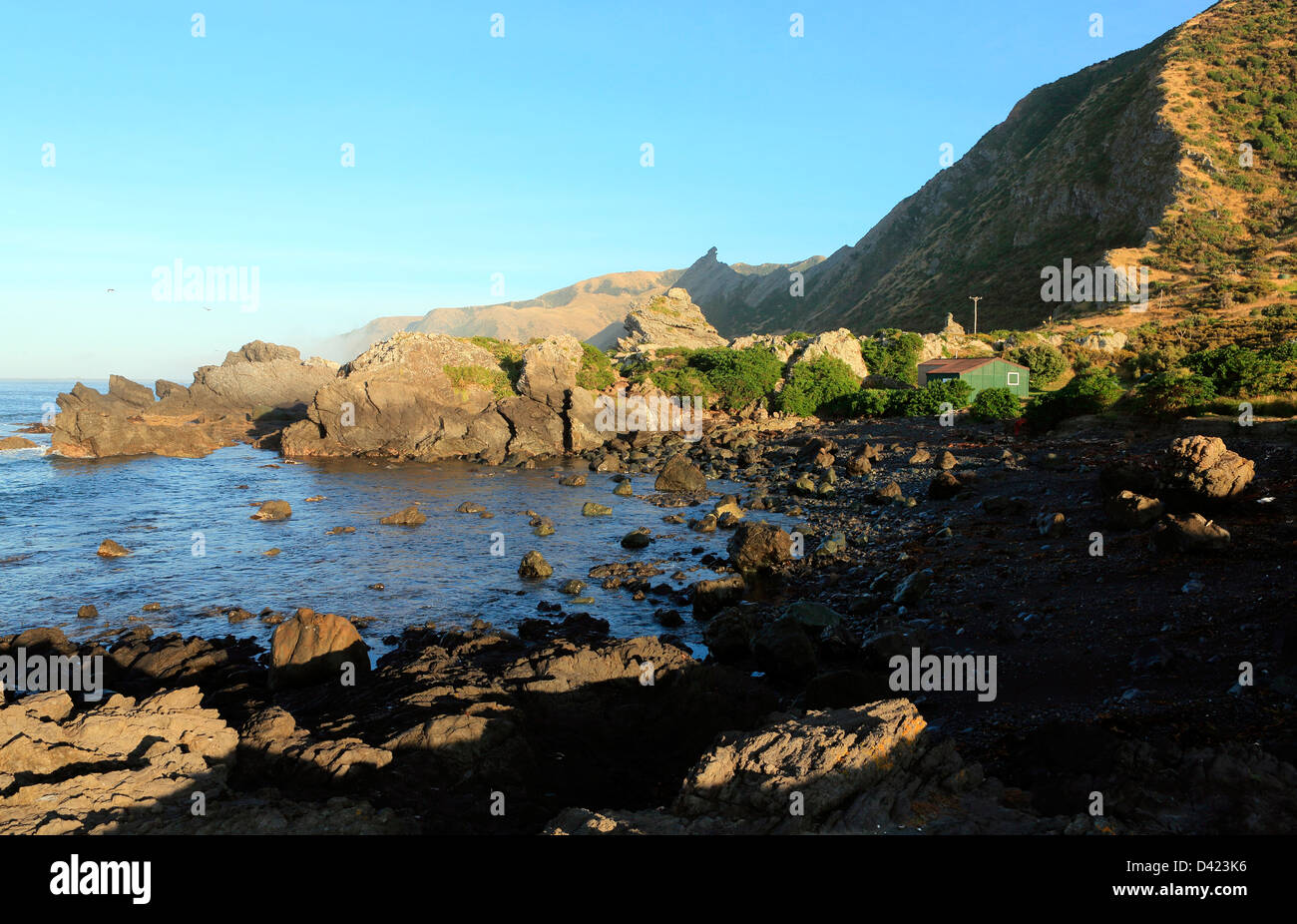 Rocky scenic coastline in Palliser Bay, south Wairarapa Stock Photo - Alamy