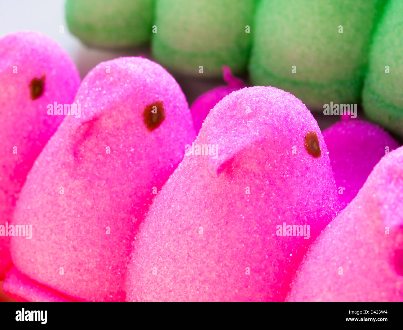 Easter marshmallow chicks in a row Stock Photo - Alamy
