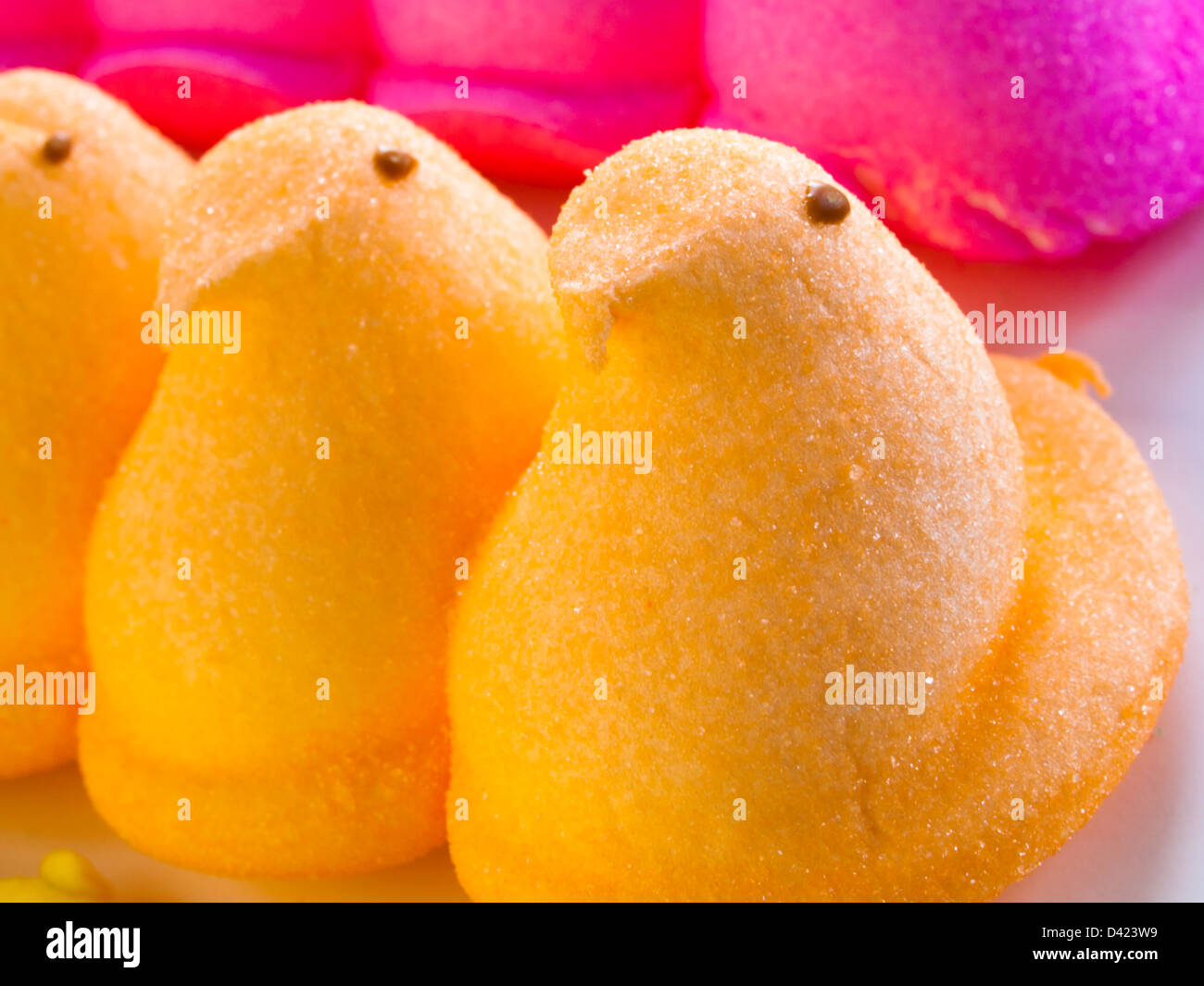 Easter marshmallow chicks in a row Stock Photo - Alamy