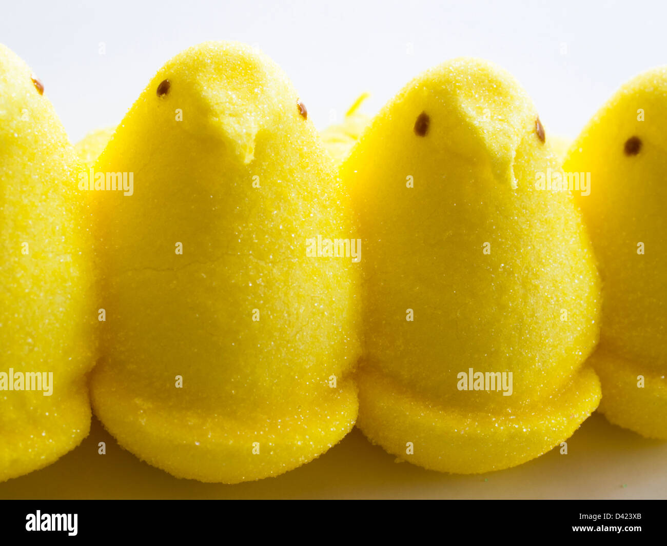 Easter marshmallow chicks in a row Stock Photo - Alamy