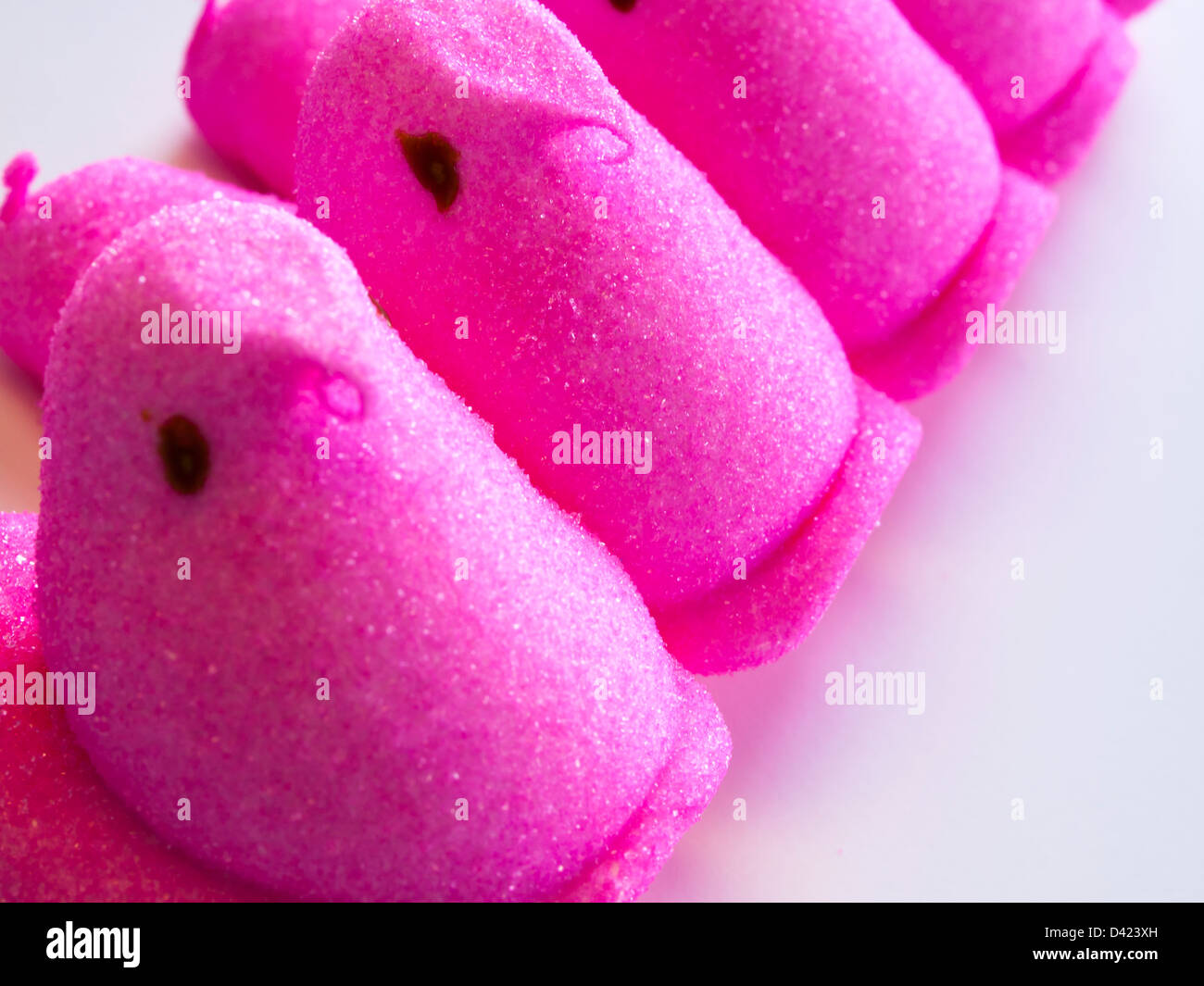 Easter marshmallow chicks in a row Stock Photo - Alamy