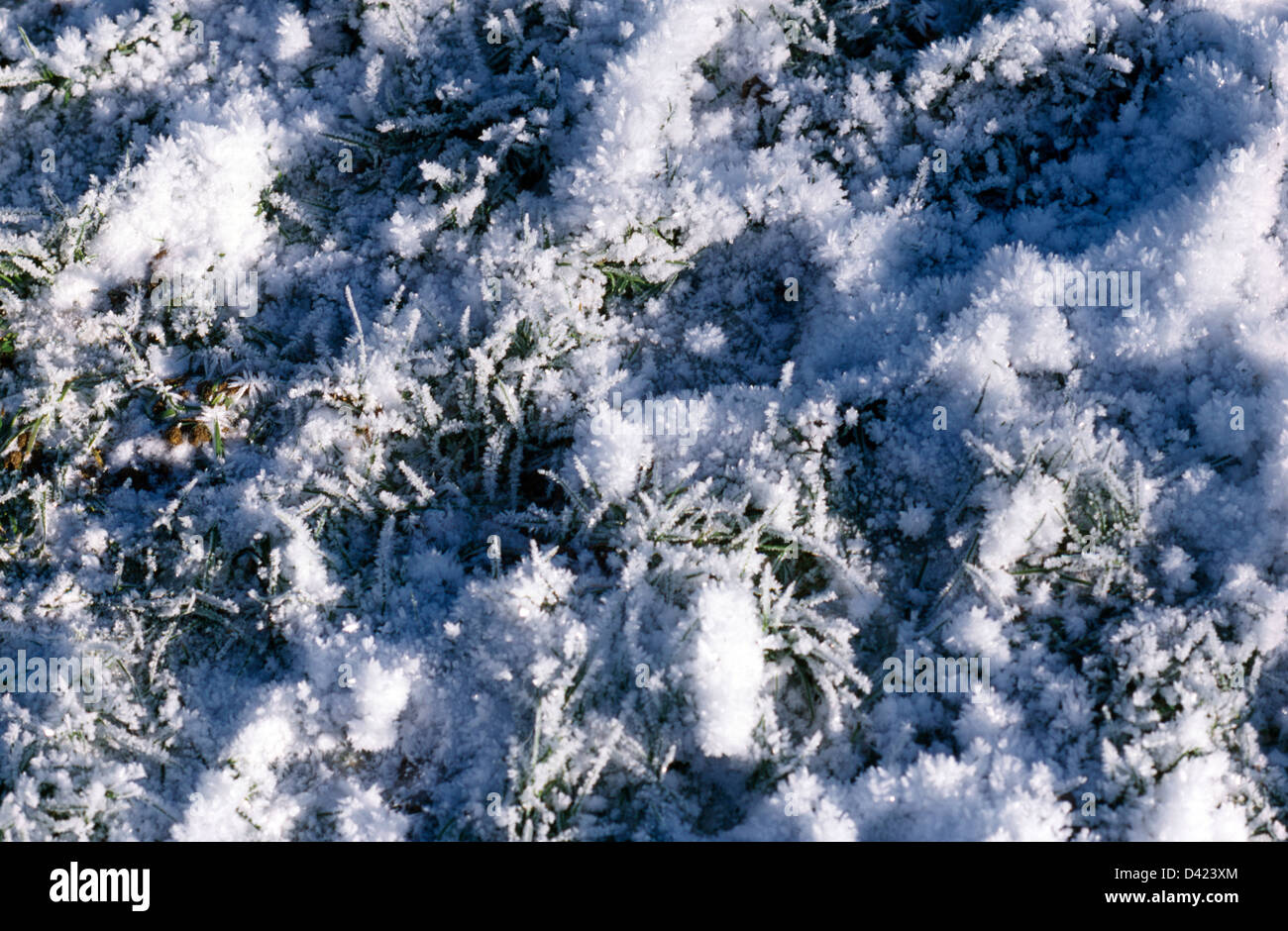 Ice Crystals On Grass Stock Photo - Alamy