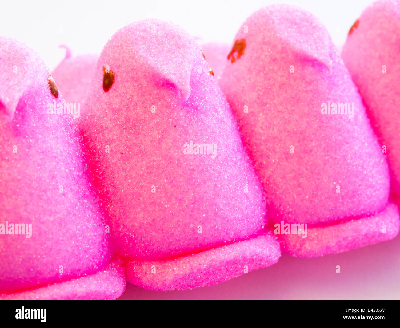 Easter marshmallow chicks in a row Stock Photo - Alamy