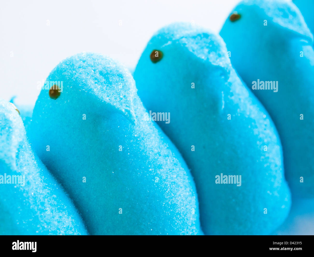 Easter marshmallow chicks in a row Stock Photo - Alamy