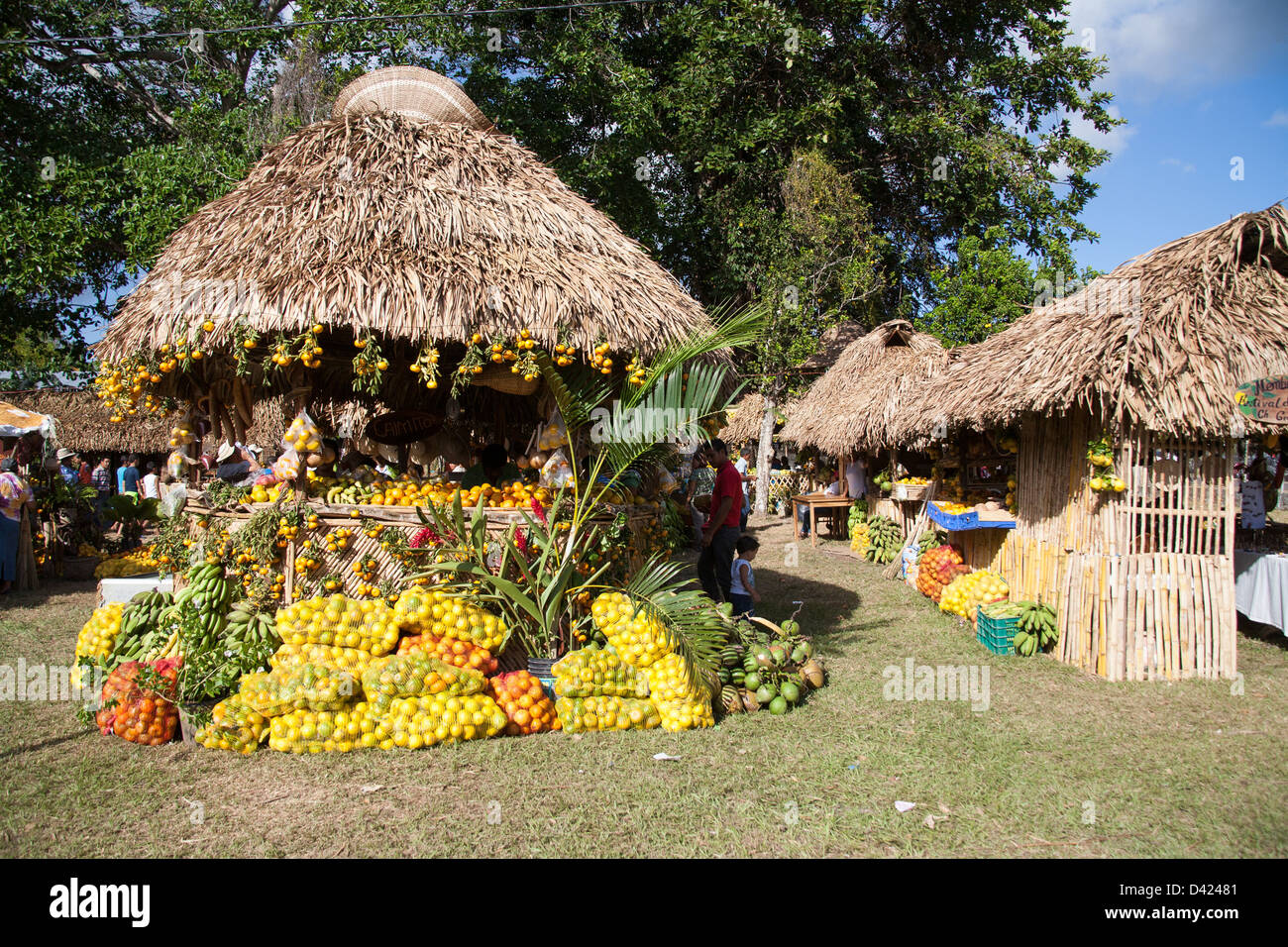 Straw hut / vendor showing off produce for sale at the folklore ...